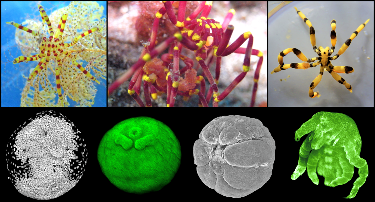 Current research topics and completed theses - Fakultät - Universität ...